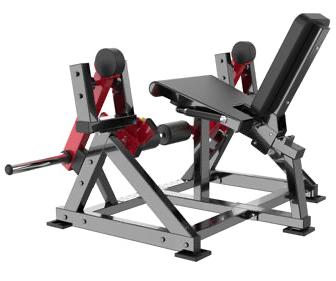 ISO Lateral Leg Extension – Progym